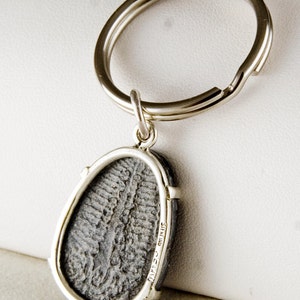Trilobite Fossil Sterling Silver Key Ring, Sterling Silver Trilobite ...