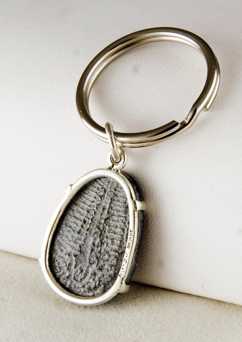 Trilobite Fossil Sterling Silver Key Ring Sterling Silver | Etsy