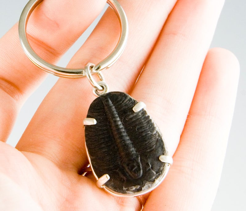 Trilobite Fossil Sterling Silver Key Ring Sterling Silver - Etsy
