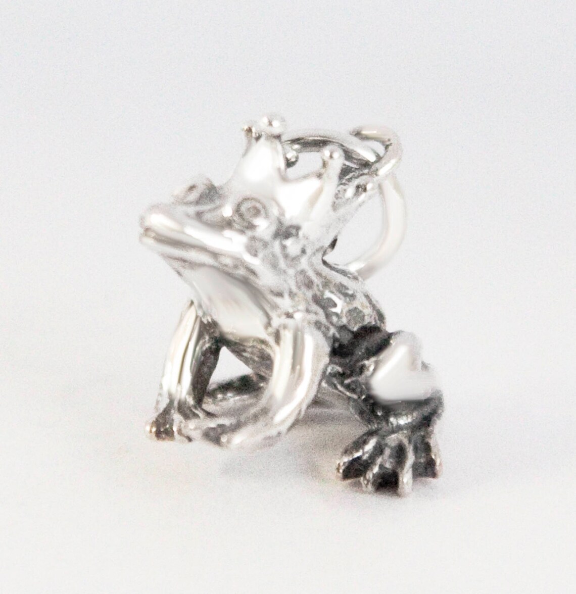 Frog Prince Sterling Silver Charm, Fairytale Silver Pendant - Etsy