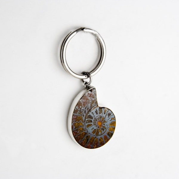 Ammonite - Etsy