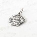 Sunfish Sterling Silver Charm, Small Fish Pendant - Etsy
