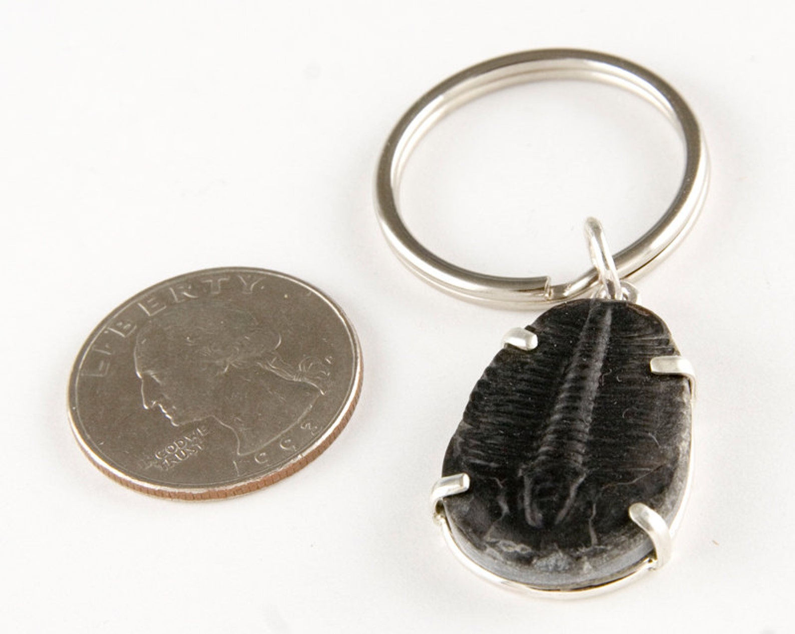 Trilobite Fossil Sterling Silver Key Ring Sterling Silver - Etsy