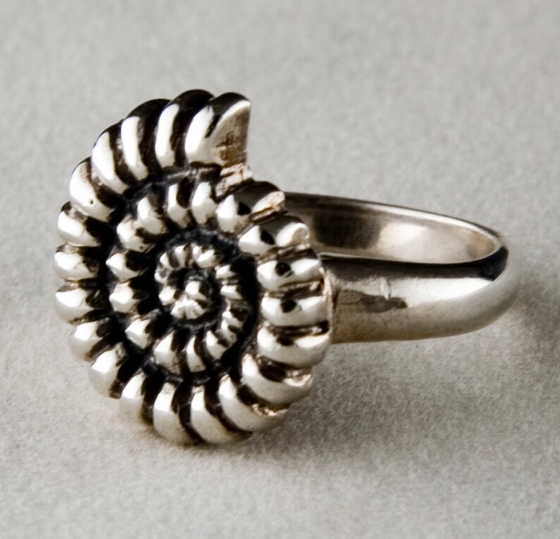 Ammonite Sterling Silver Ring - Etsy