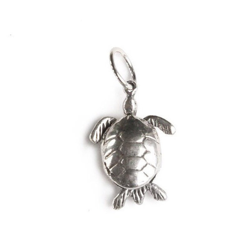 Miniature Turtles - Etsy