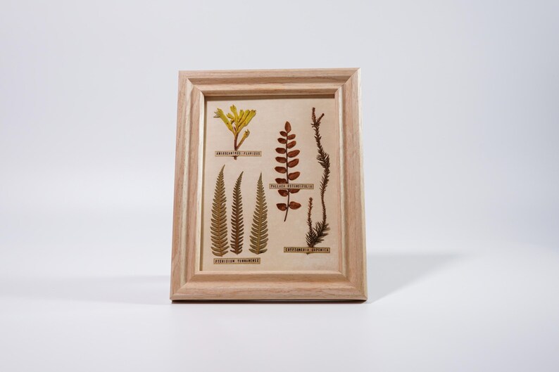 Botanical Pressed Flower Artwork, Handmade Mixed Herbarium, Wooden ...
