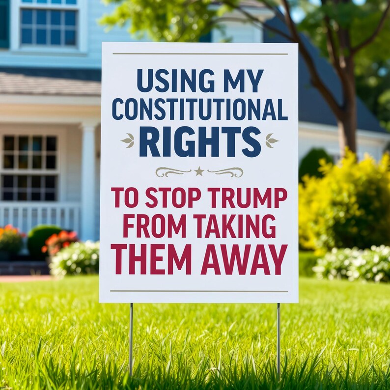 Free Speech Protest Sign: No Kings Anti-trump Poster (download, PDF JPG ...