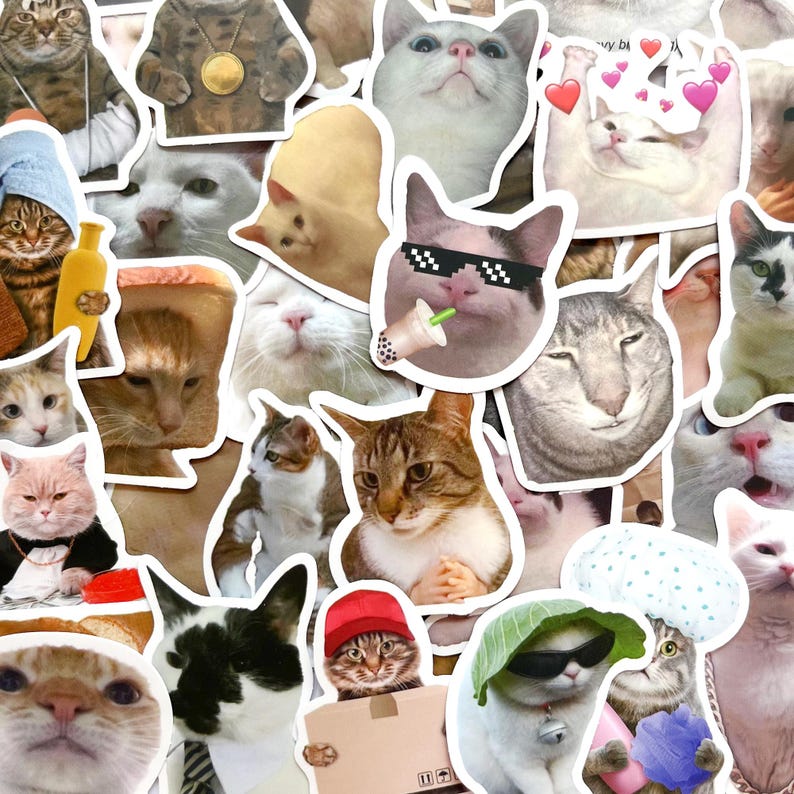 50 Cute Cat Stickers - Funny & Aesthetic Cat Face Stickers for Laptop ...