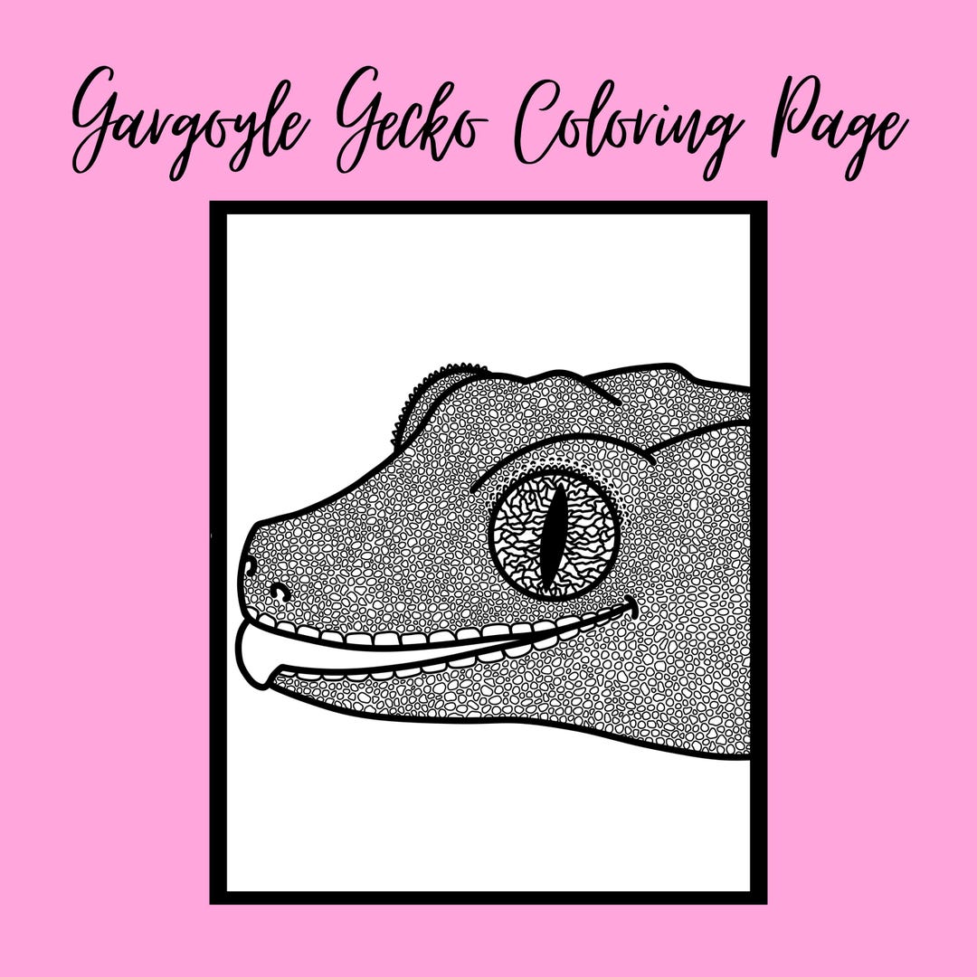 Hand Drawn Gargoyle Gecko Coloring Book Page for Adults Digital ...