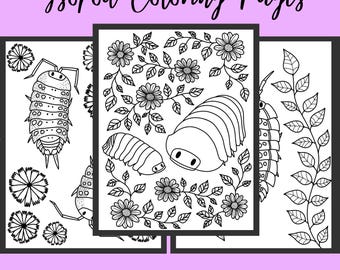 Hand Drawn Isopod and Flower Coloring Book Page Set of 3 for Adults ...