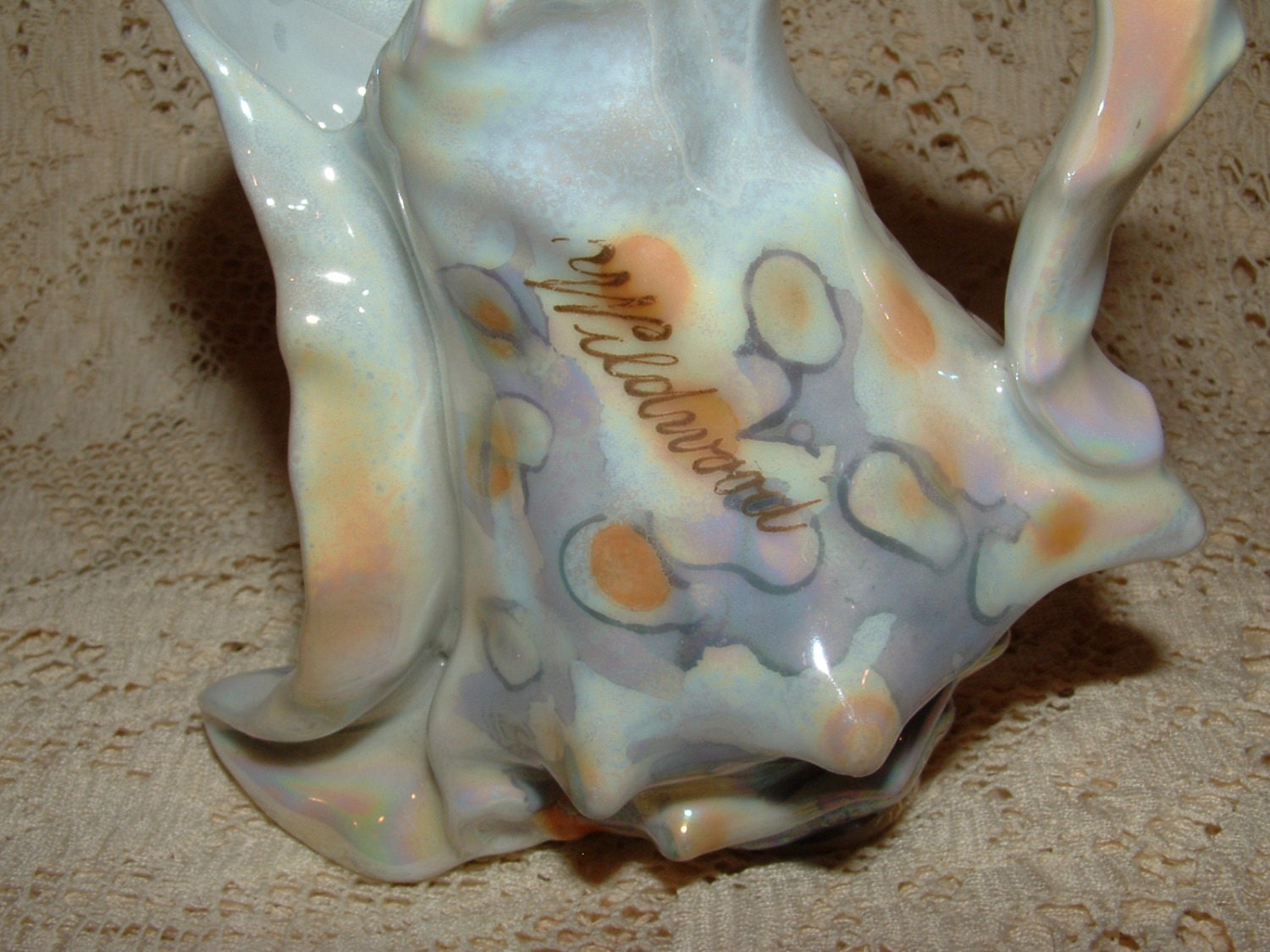 Antique Bavaria Lusterware Conch Shell Pitcher - Souvenir of Wildwood ...