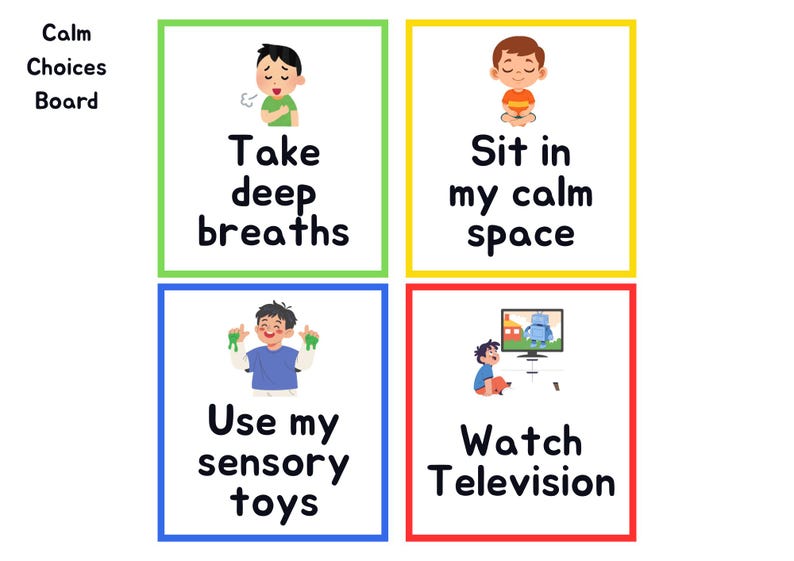 Emotional Regulation Toolkit - Etsy