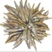 Sun Dried Anchovies, Pure Ndakala Musumari From Zambia 200g - Etsy