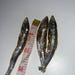 Sun Dried Anchovies, Pure Ndakala Musumari From Zambia 200g - Etsy