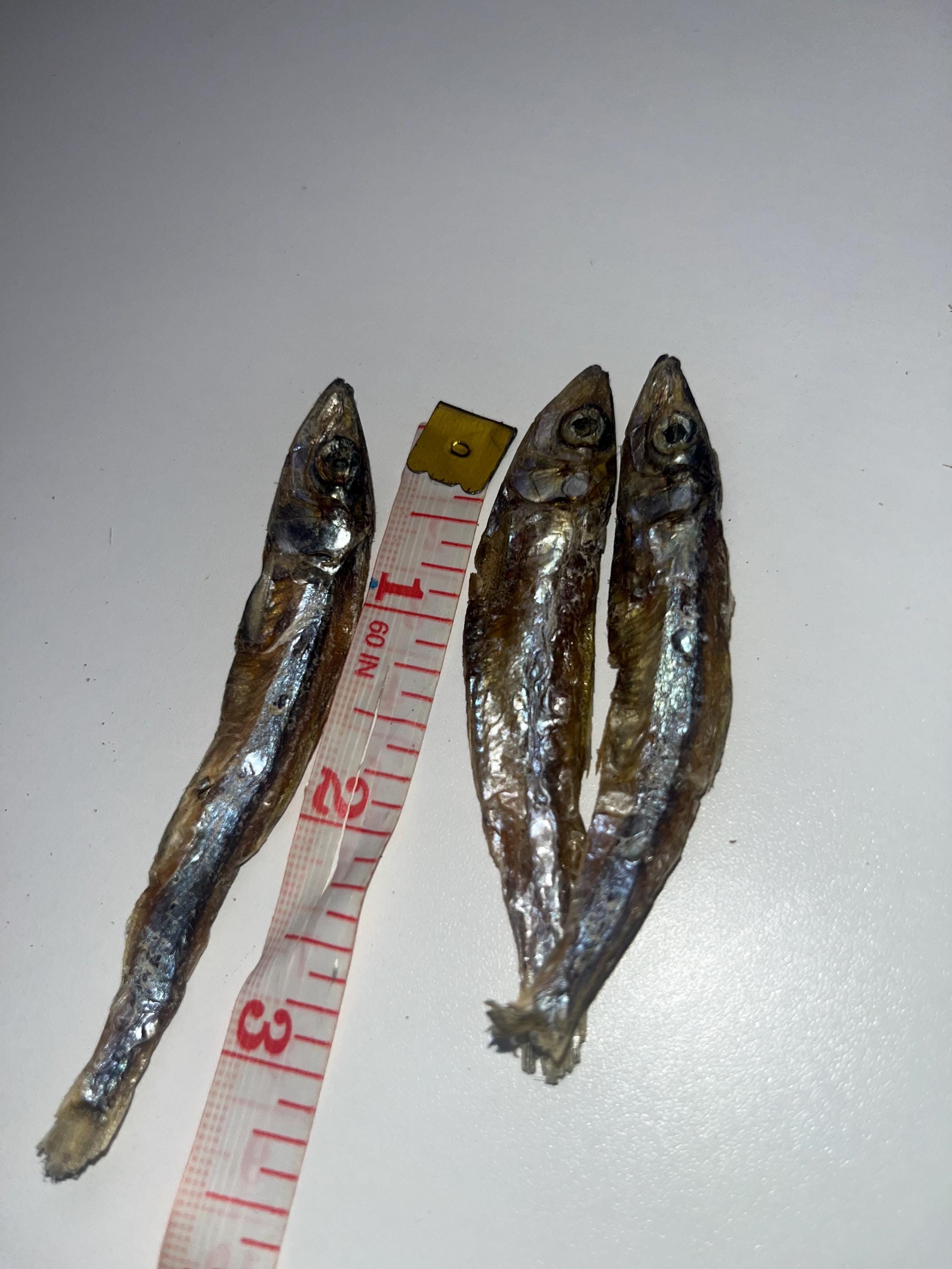 Sun Dried Anchovies, Pure Ndakala Musumari From Zambia 200g - Etsy