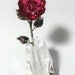 Red Crystal Rose in Crystal Vase Handcrafted With Swarovski Crystal ...