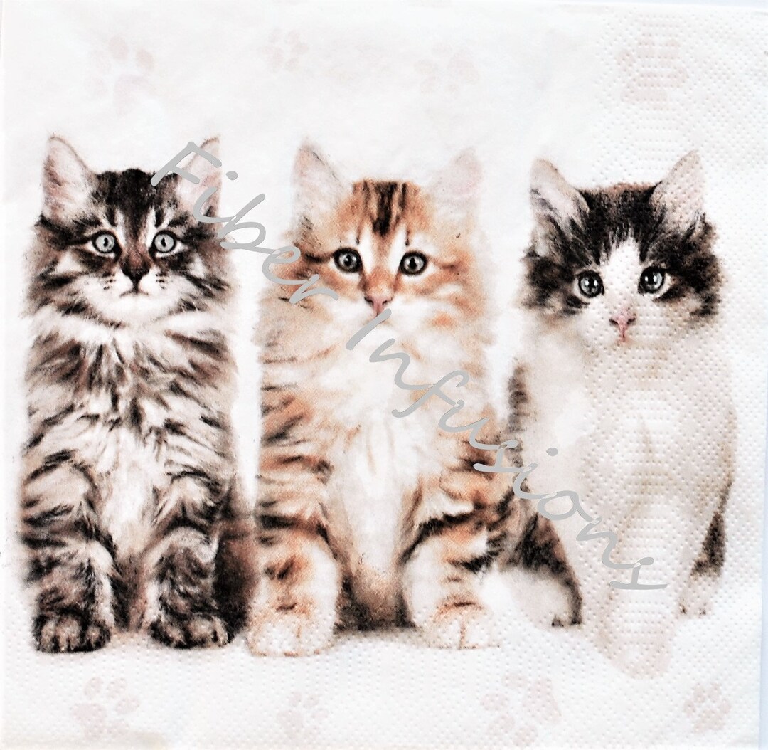 Decoupage Luncheon Paper Napkins, Kitten, Kitty Cat, Tiger Cat, Persian ...