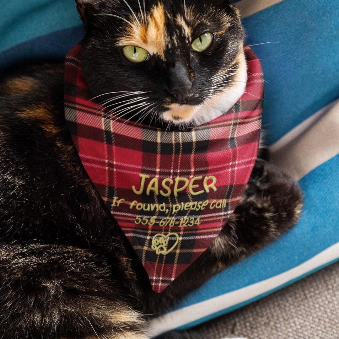 Personalized Pet Bandana: Custom Embroidered Pet Scarf, Gift for Dog ...