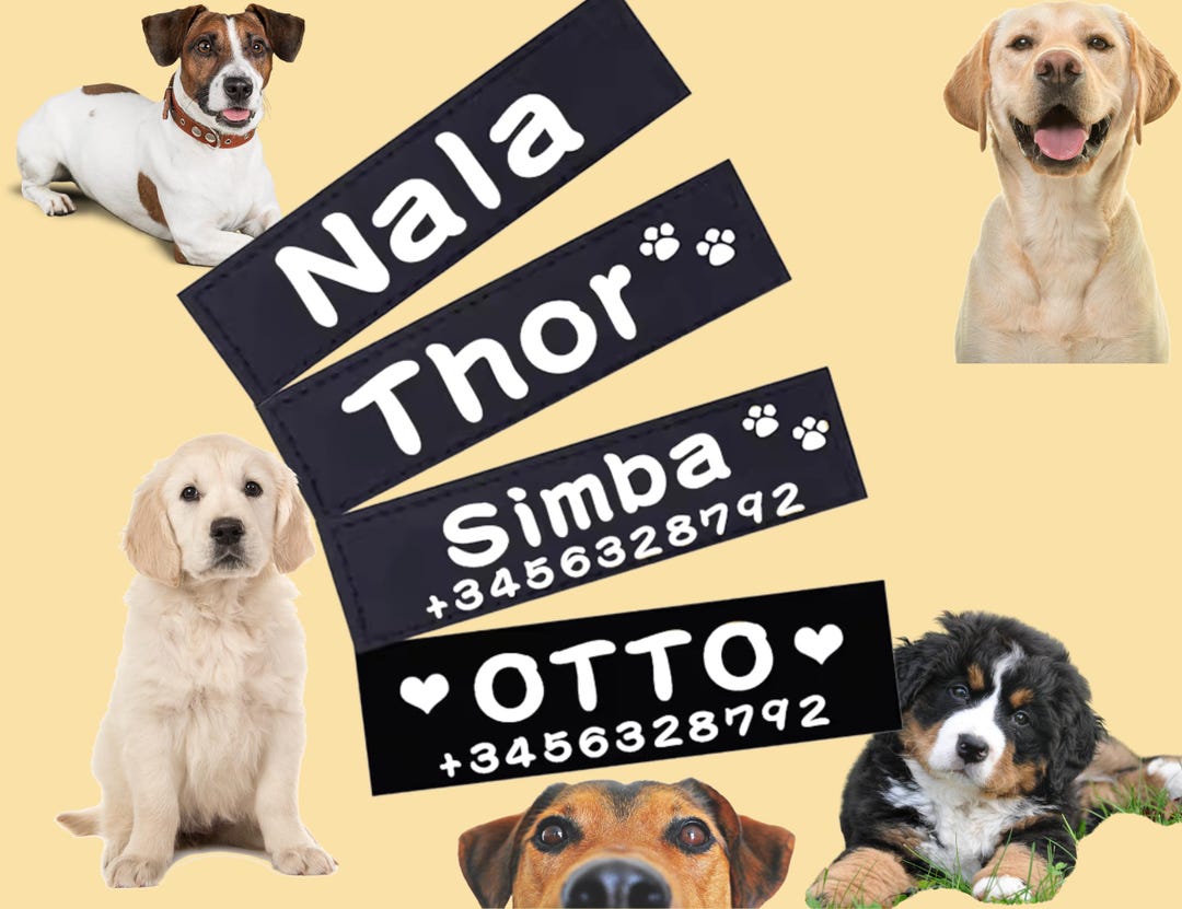 Custom Dog Patch for Julius-k9 Harness – Personalised Name Tag for Dogs ...
