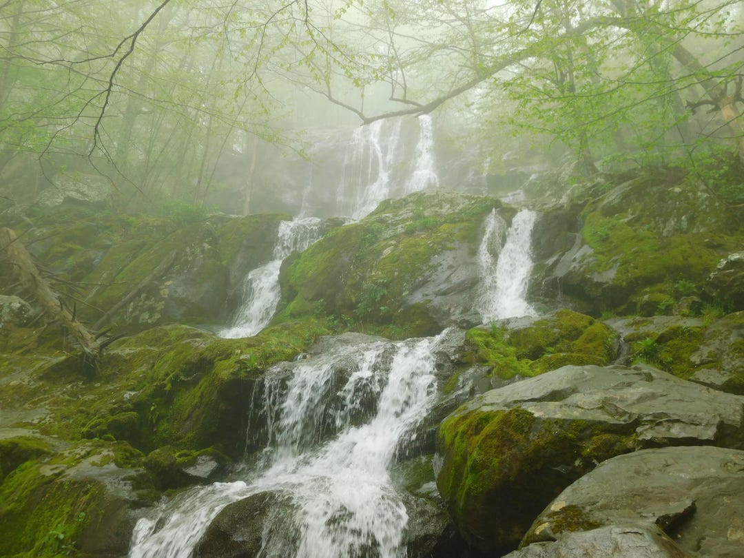 Waterfall Prints - Etsy