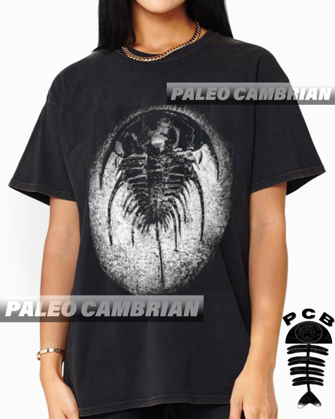 Ancient Trilobites Fossil PNG | Digital Download for Science ...