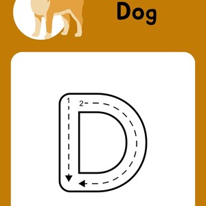 Tracing ABC Book for Kids - Etsy
