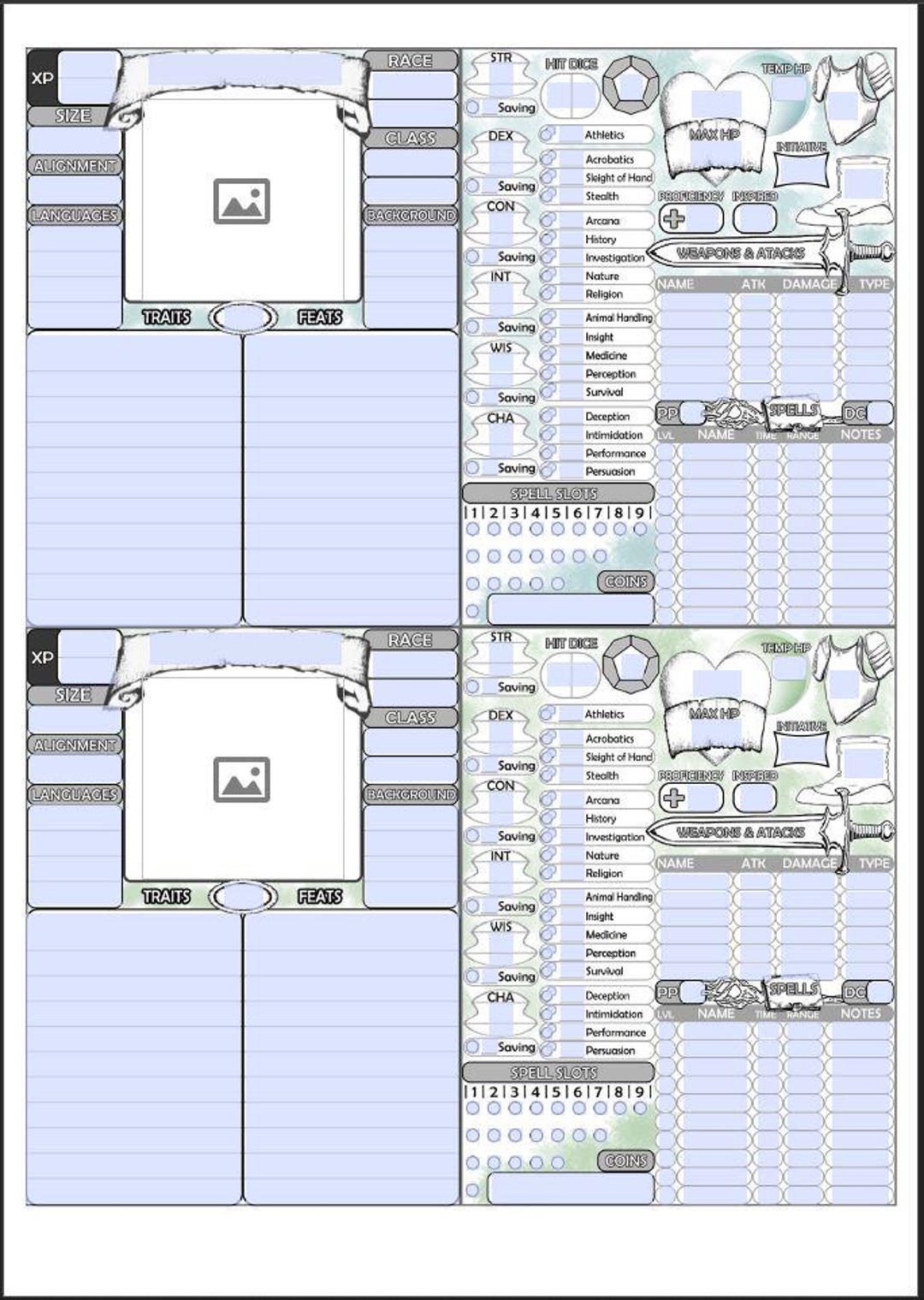 FORM-FILLABLE Player Character Sheet - 2 CHARACTERS on One A4 Page - Etsy