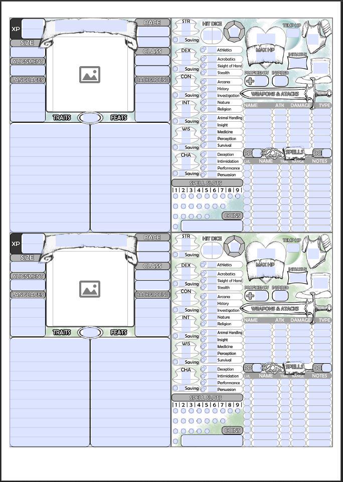 FORM-FILLABLE Player Character Sheet - 2 CHARACTERS on One A4 Page - Etsy