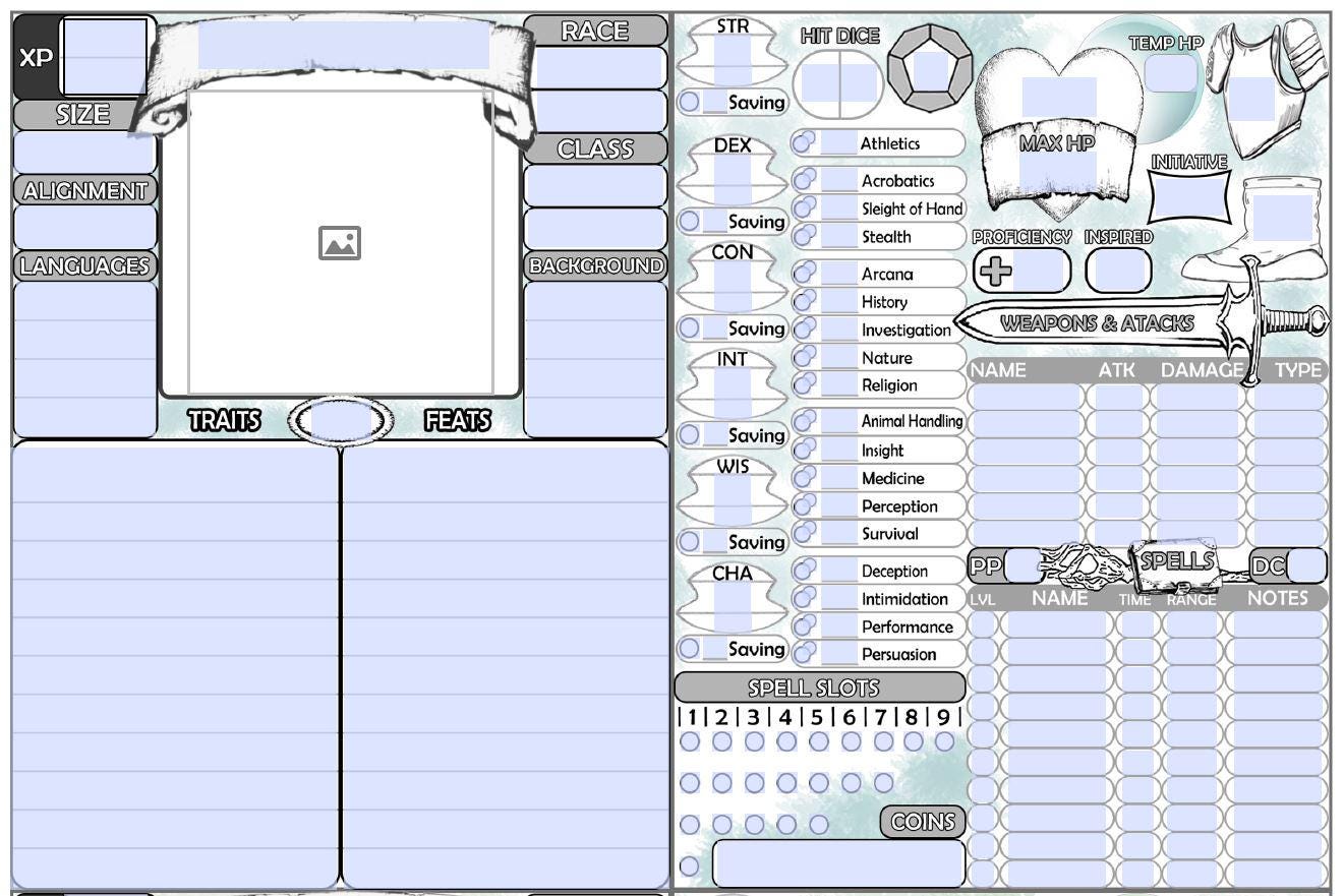 FORM-FILLABLE Player Character Sheet - 2 CHARACTERS on One A4 Page - Etsy