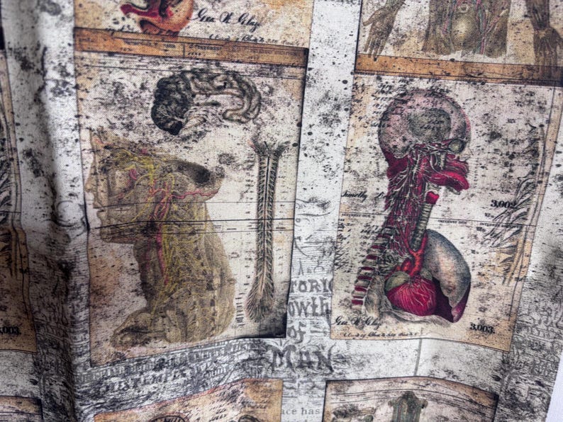 Vintage Anatomy Cotton Fabric: Original Design Crafting, DIY Gifts ...