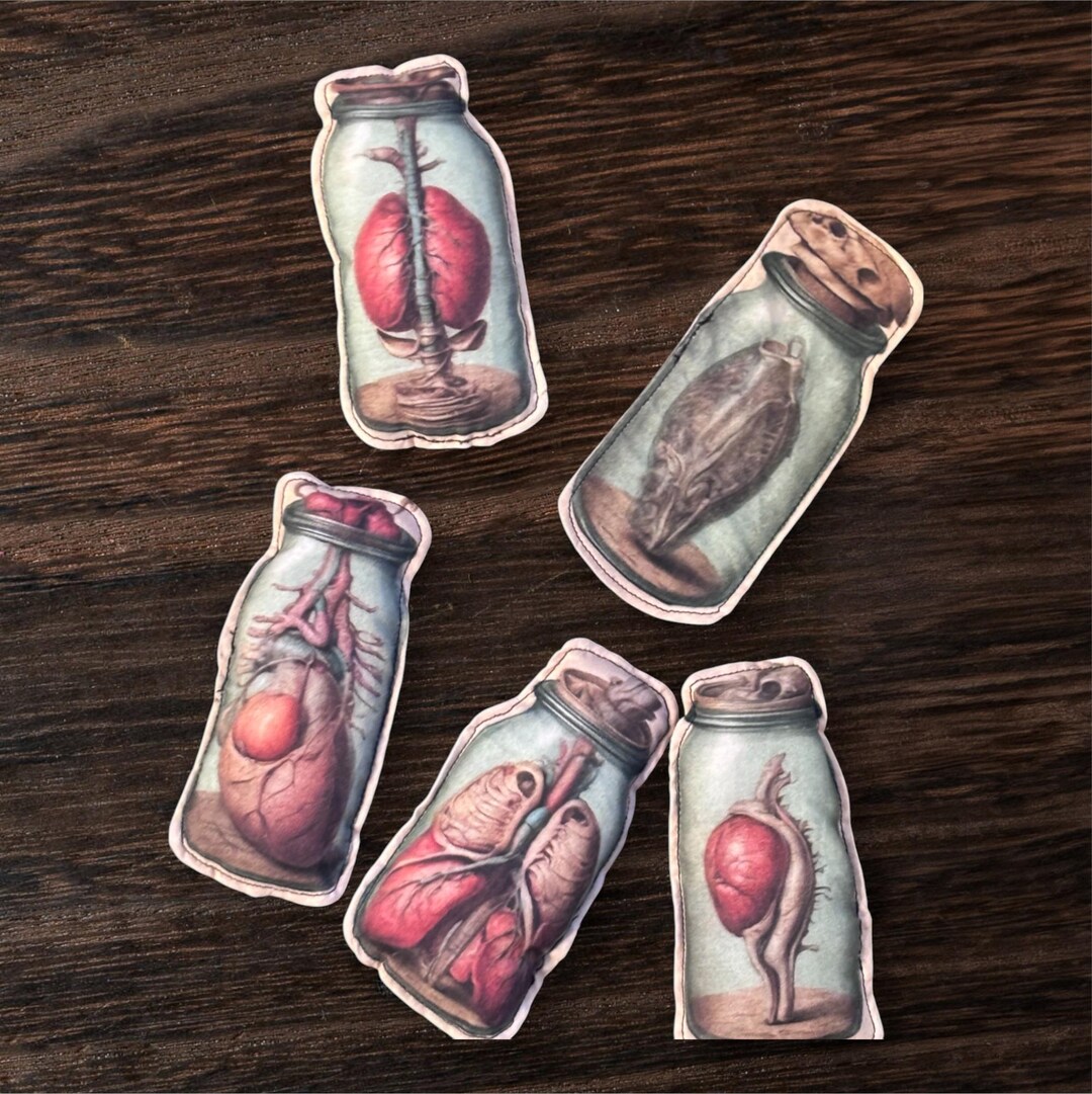 Vintage Anatomy Stuffed Art: Glass Jar Oddities - Weird Home Decor - Etsy