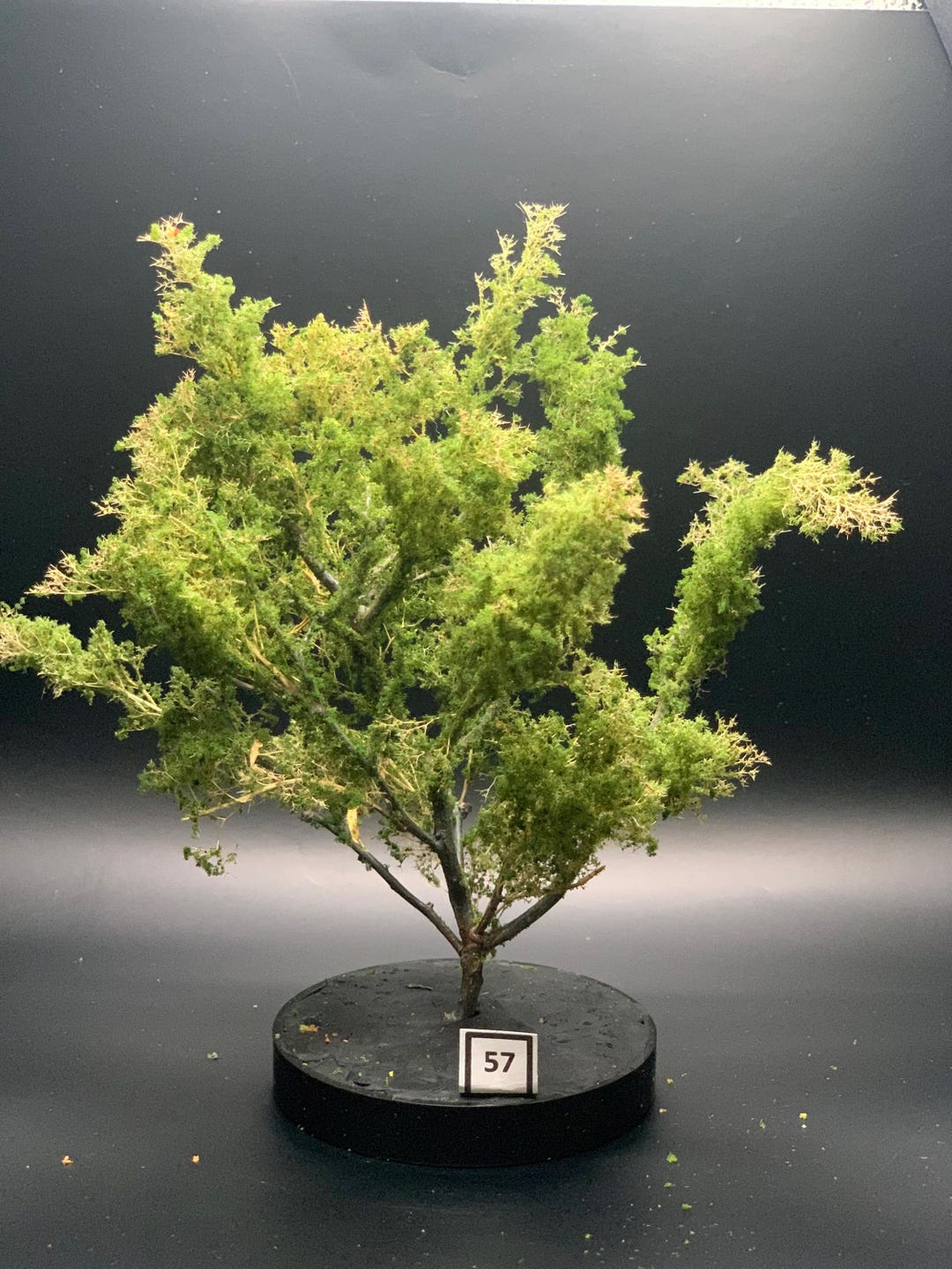 HO SCALE TREE Realistic Handmade Tree 7" Diorama Model Railroad (#57 ...