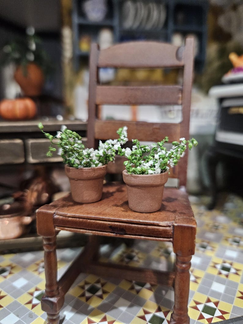 Handmade Miniature Plant (set of 2) in Tiny Garden Pots - Etsy