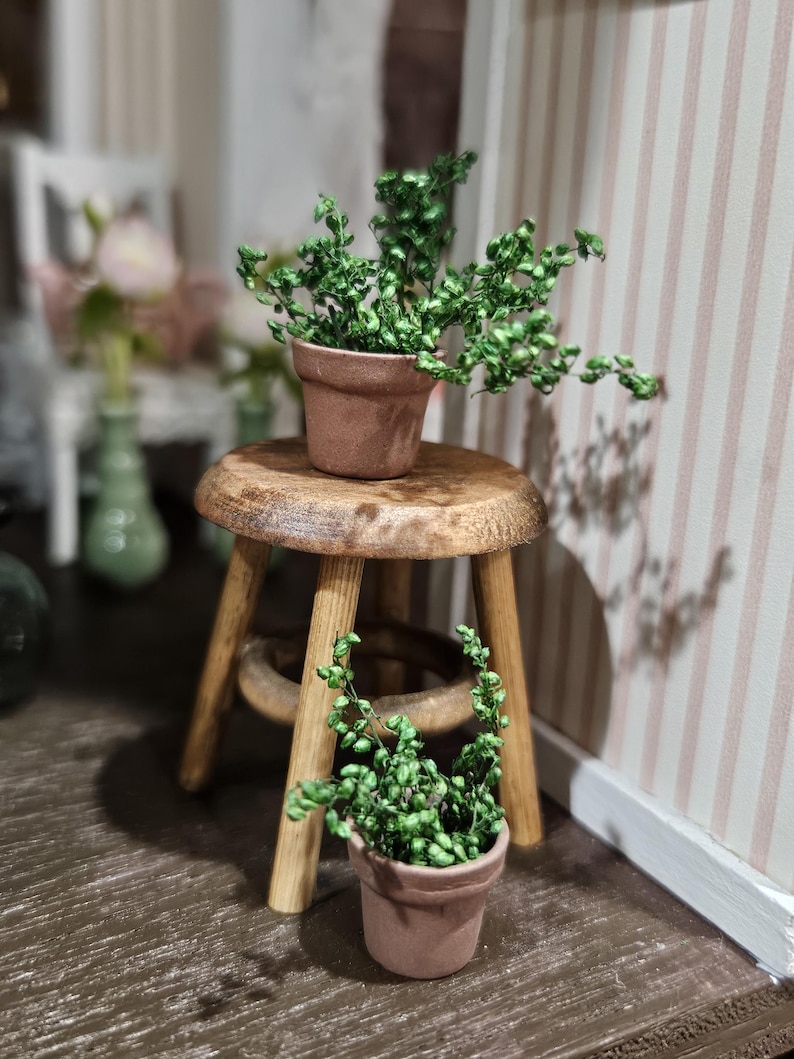 Handmade Miniature Plant (set of 2) in Tiny Garden Pots - Etsy