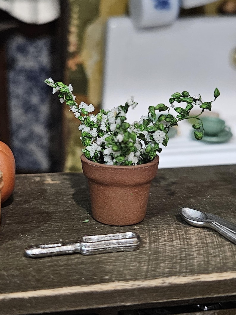 Handmade Miniature Plant (set of 2) in Tiny Garden Pots - Etsy