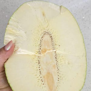 Special Offer! 3 Tropical Fruit Trees – Avocado, Breadfruit & Soursop ...
