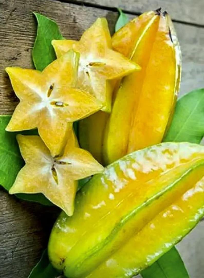 Árbol De Carambola (averrhoa Carambola) - Árbol Frutal Tropical Vivo ...