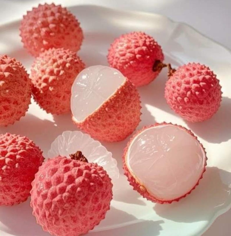Lychee Tree Starter • 1 Ft Live Tropical Fruit Plant - Etsy