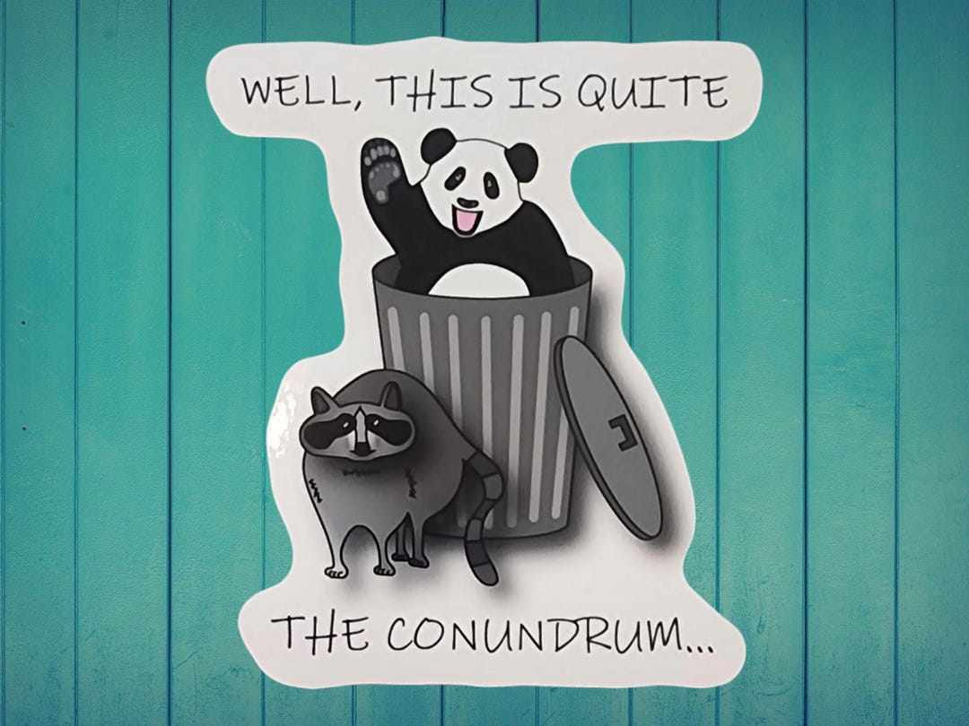 Trash Pandas, Well This is Quite the Conundrum Funny Clever Sticker - Etsy