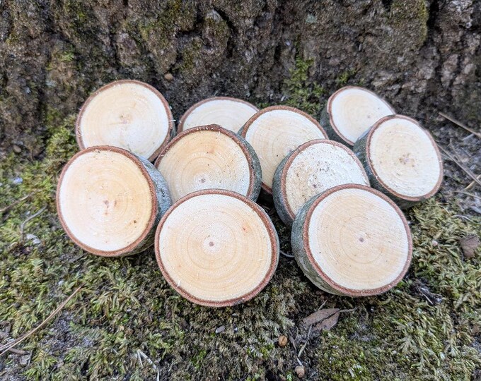 Natural Pine Wood Rounds - Unfinished Wood Slices With Bark - Log Discs ...