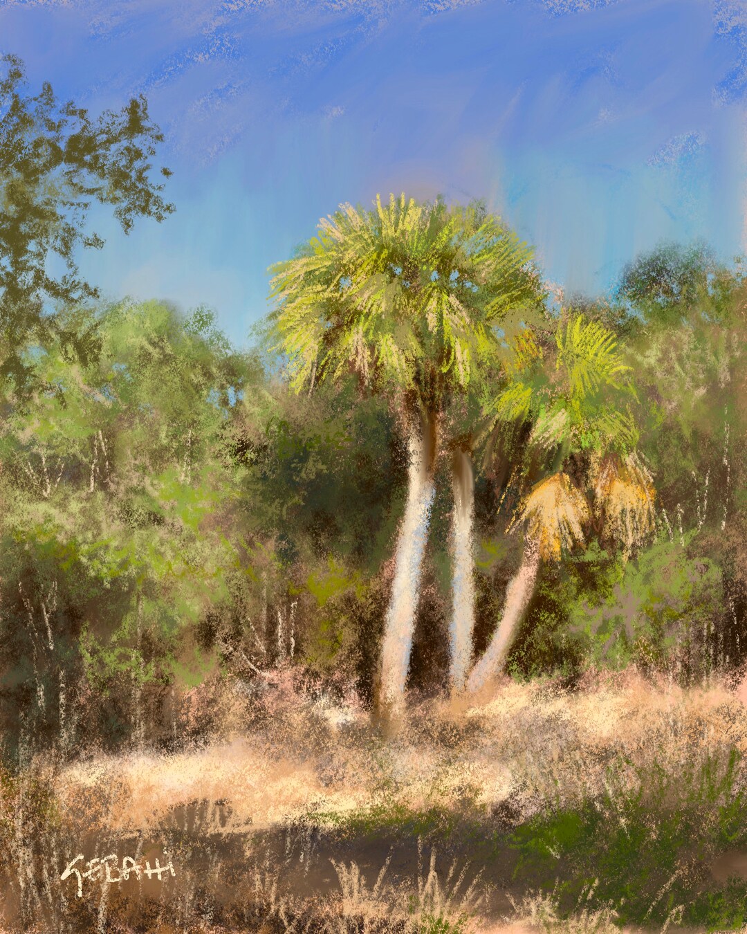 Florida Nature Trail Landscape Art Print - Etsy