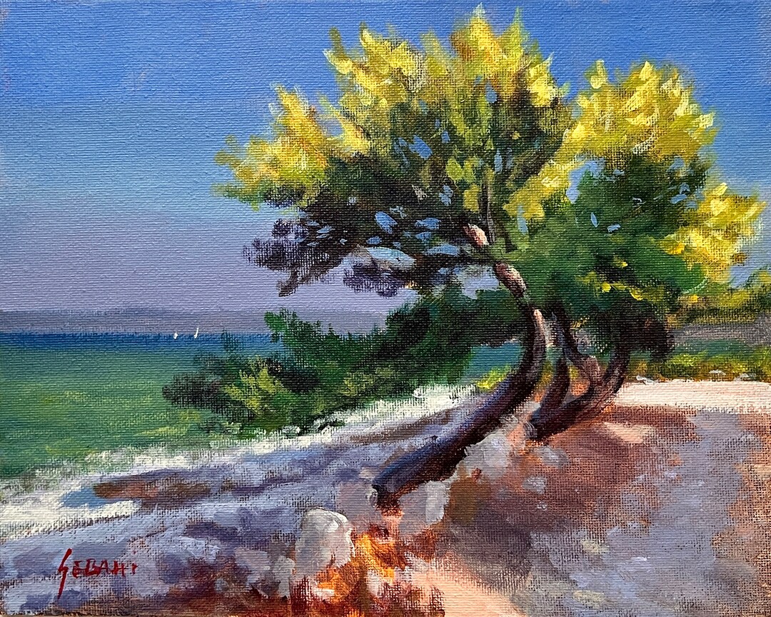 Croatia Coastal Seascape Art Print by Karim Gebahi - Etsy