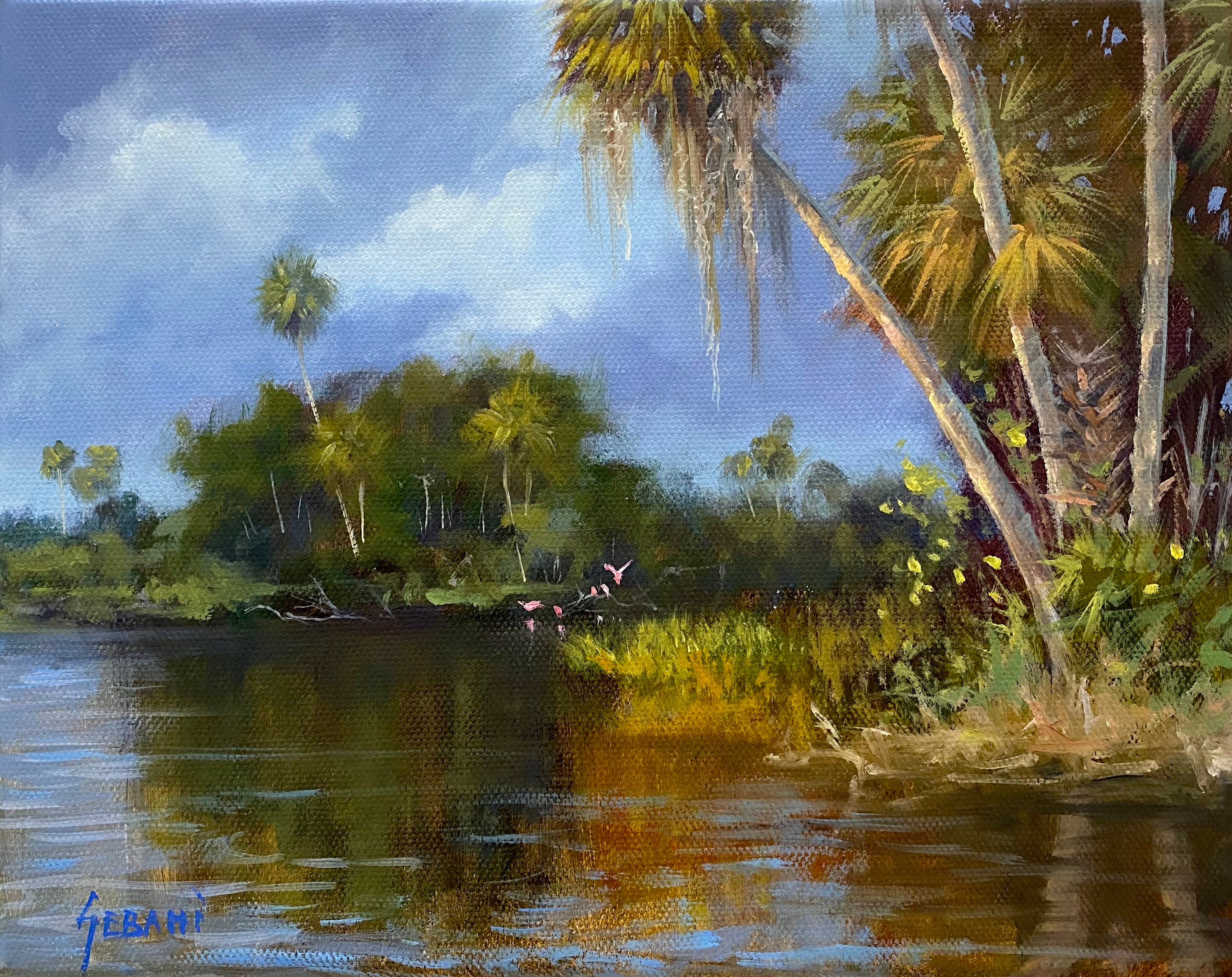 Florida Backcountry River and Sky Art Print. - Etsy