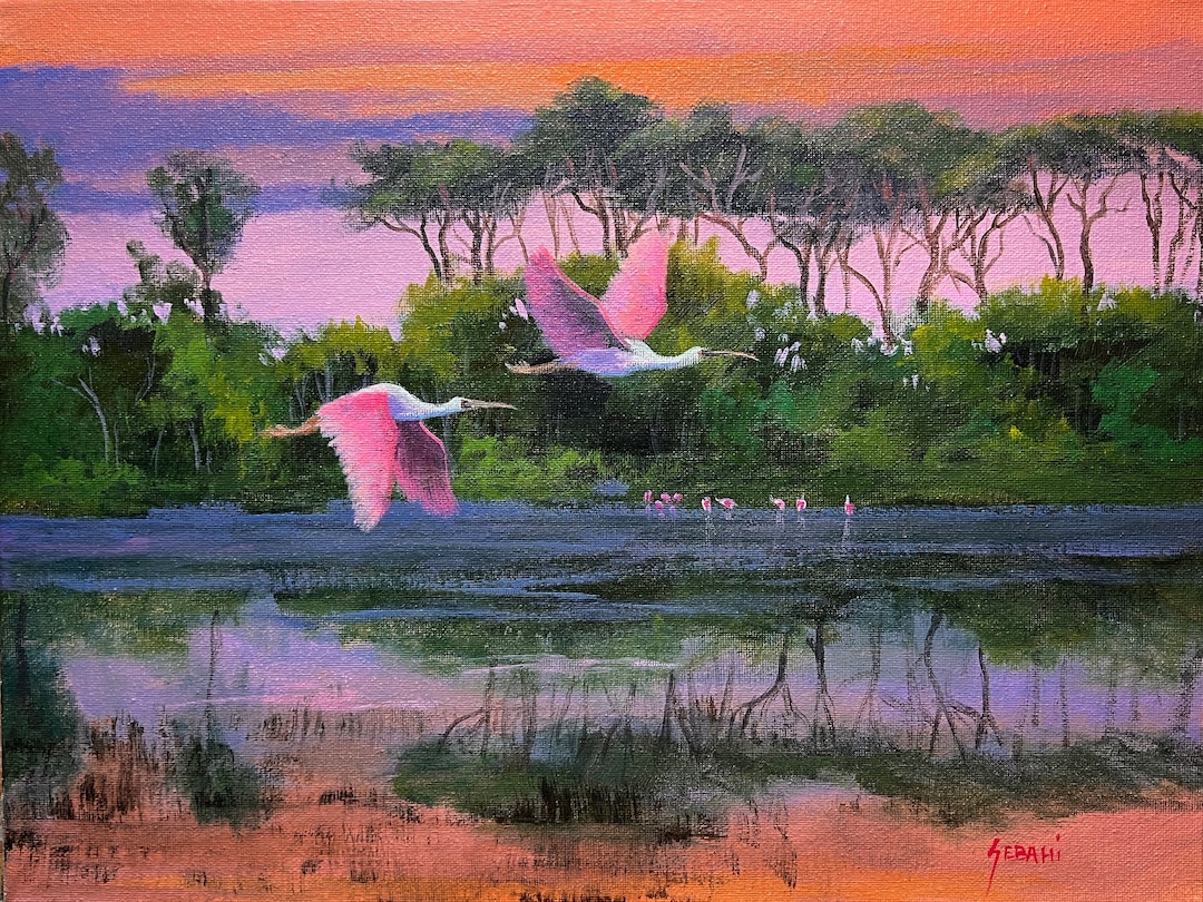 Heading Home Florida Wildlife Art Print - Etsy