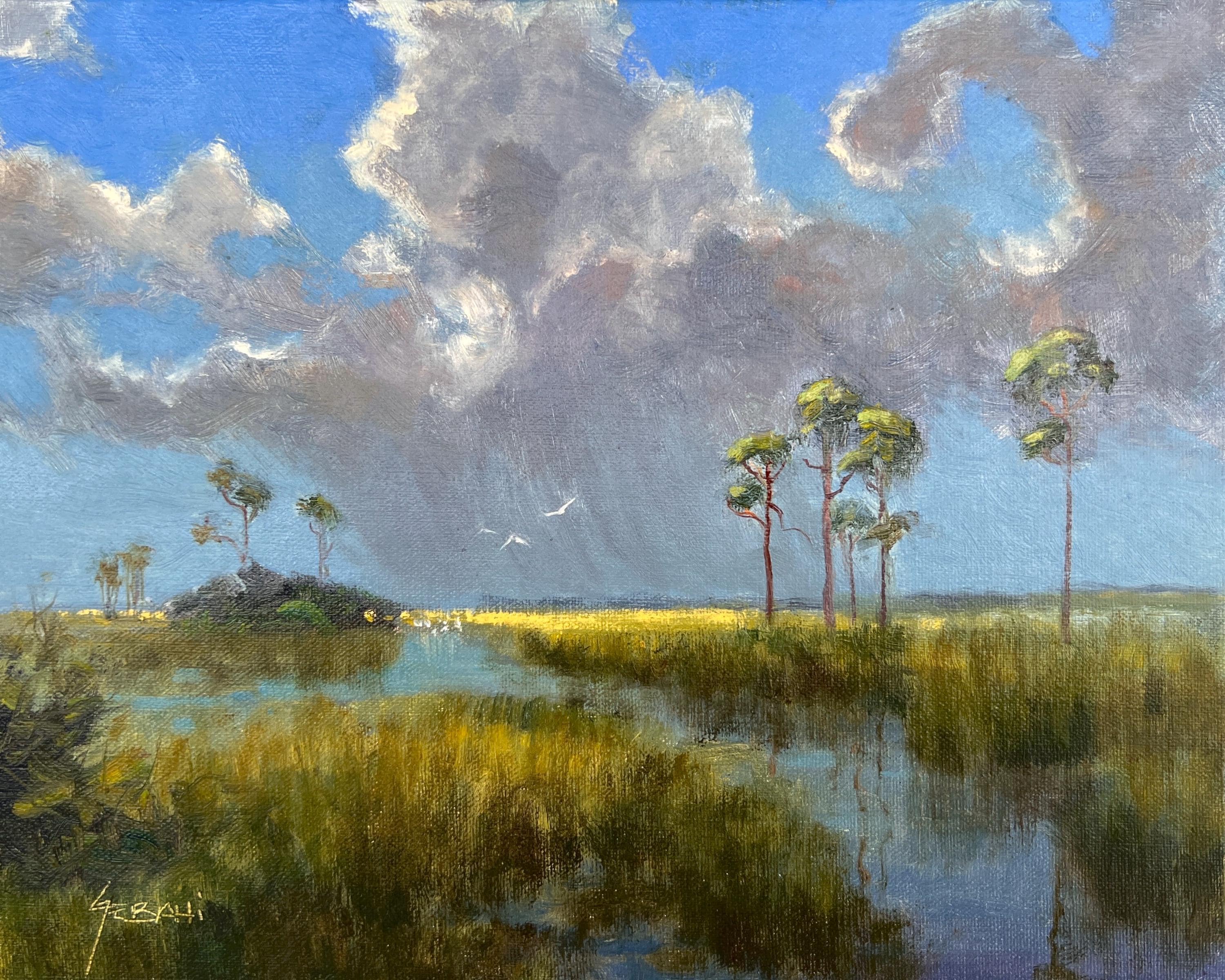 Florida Everglades Storm Clouds Art Print - Etsy