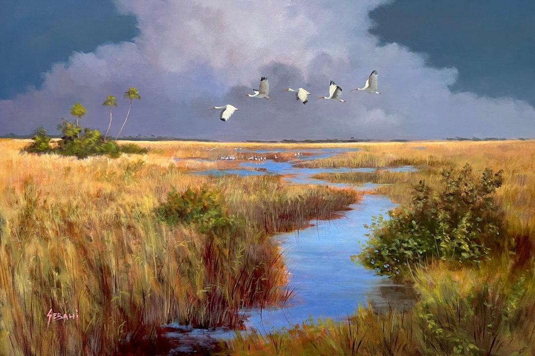 Wide Open Spaces Florida Everglades Landscape Art Print - Etsy