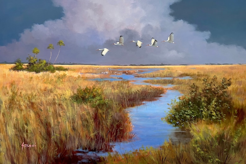Wide Open Spaces Florida Everglades Landscape Art Print - Etsy