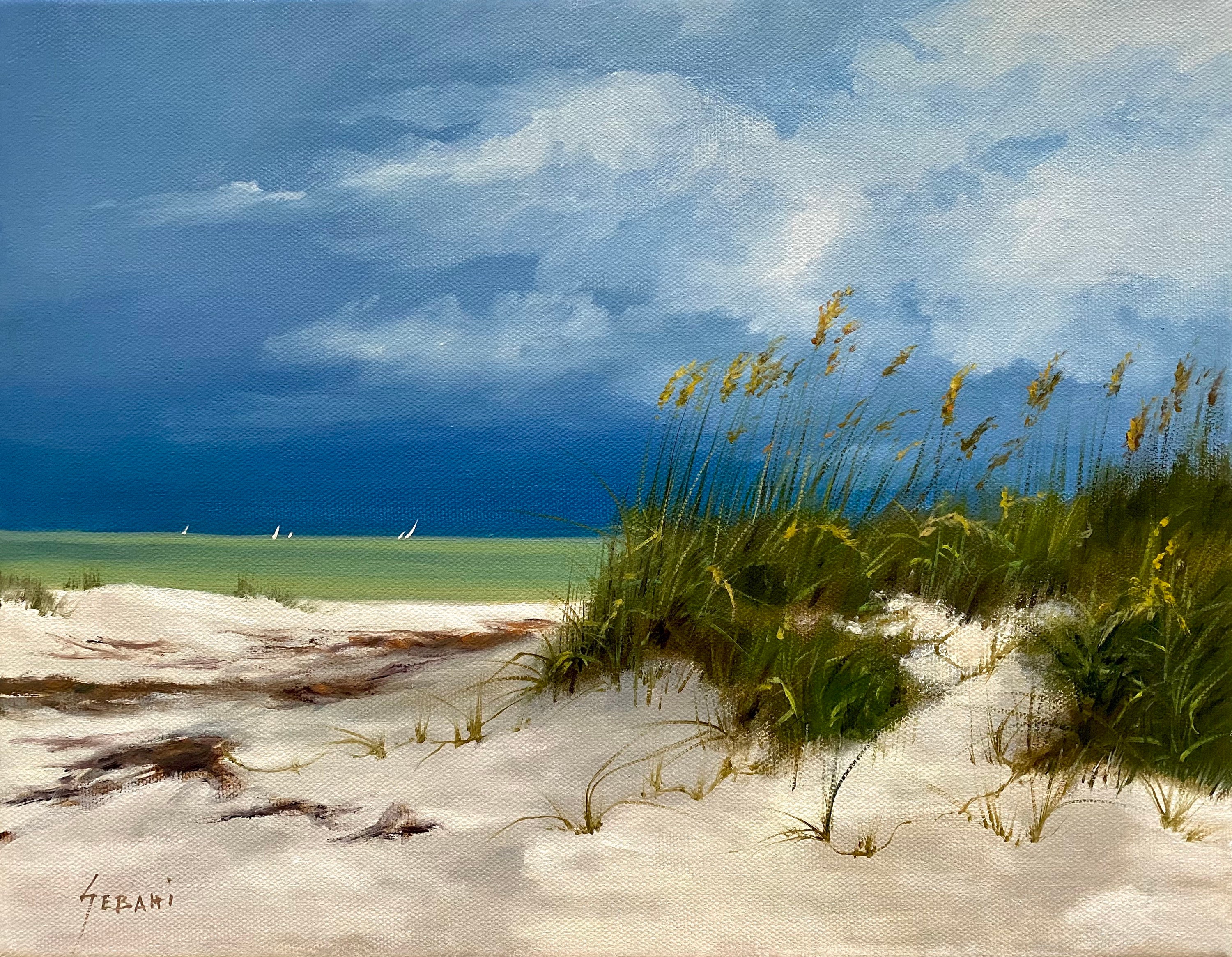 Coastal Sand Dunes Seascape Art Print. - Etsy