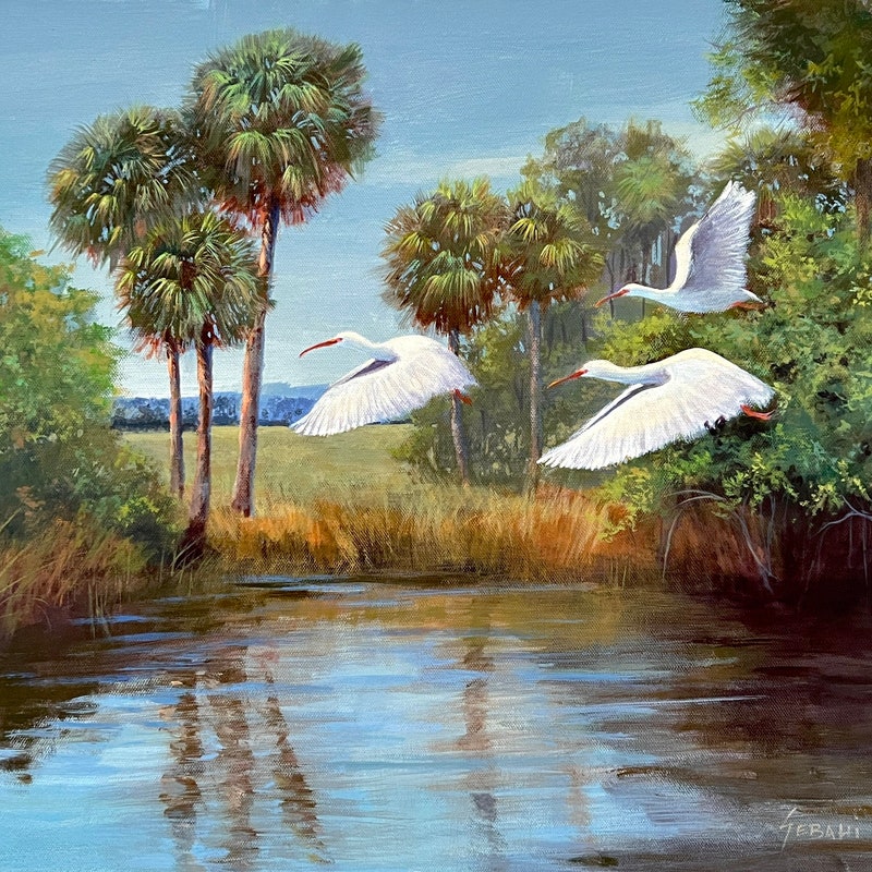 Florida Bird Art - Etsy