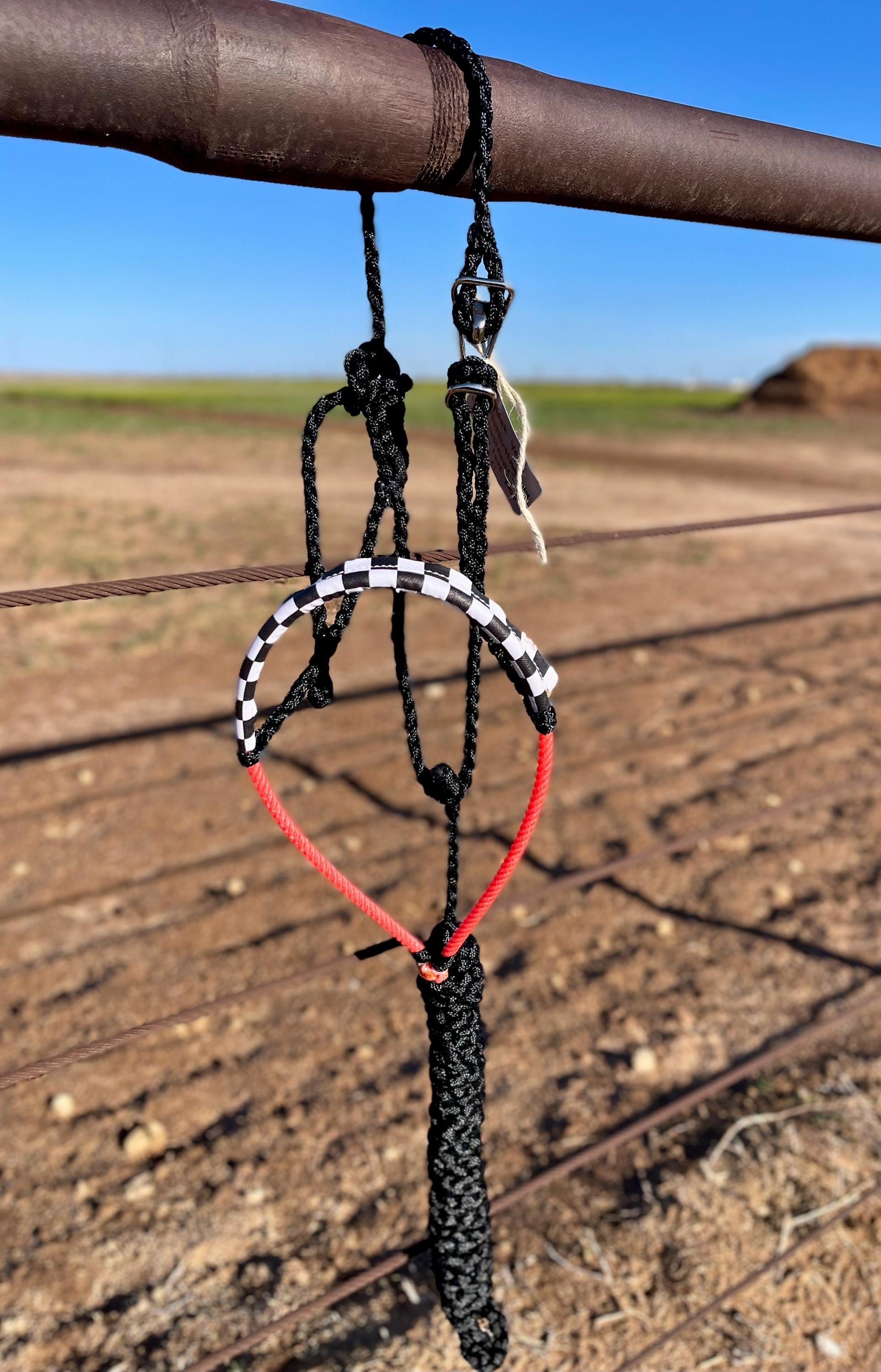 Checkered Mule Tape Halter With Quick Release Hook - Etsy